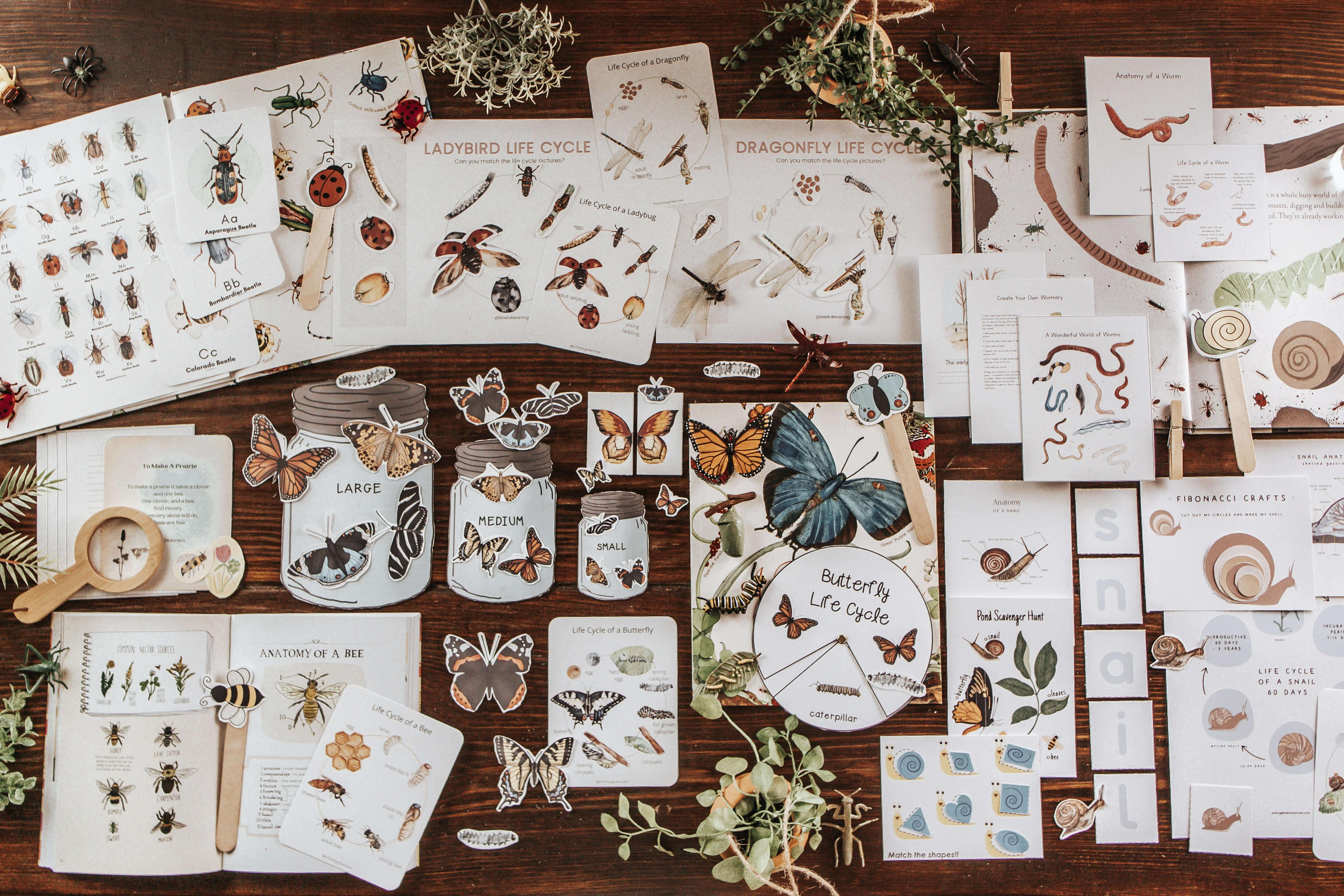 Learning Resources for Toddlers and Preschoolers!!